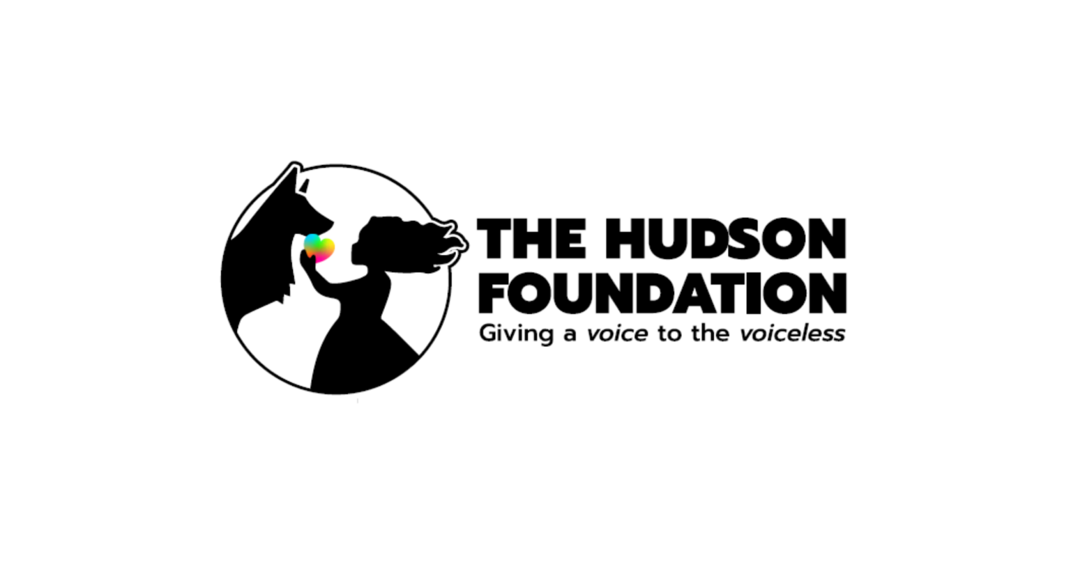 The Hudson Foundation - Hudson Holdings