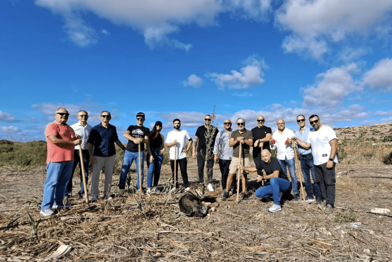 Hudson Foundation to plant over 1000 trees by 2025 in Park tal ...